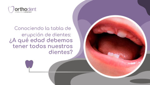 ¿A qué edad tenemos todos los dientes? - Orthodent